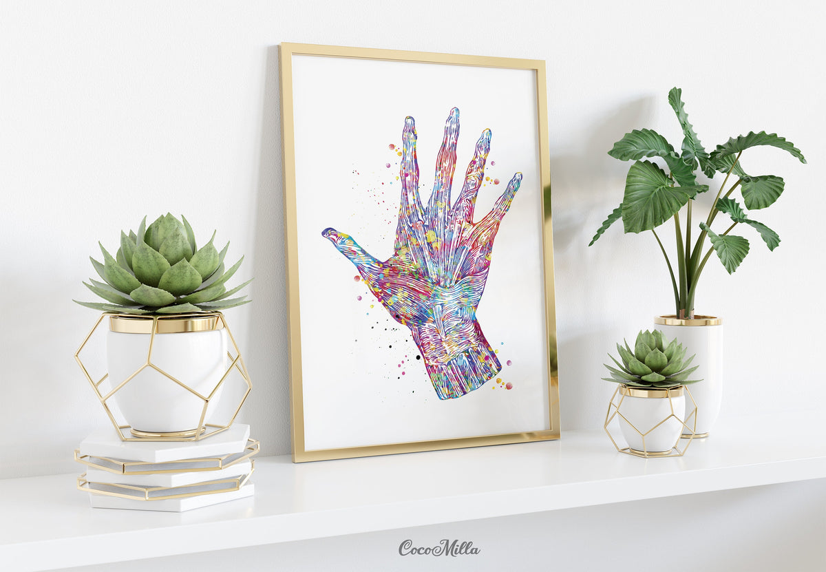 Hand Muscles Watercolor Print Skeletal Hand Bones Medical Art Anatomic ...