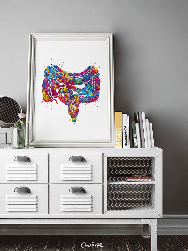 Intestine Art Watercolor Print Digestive System Large and Small Intest ...