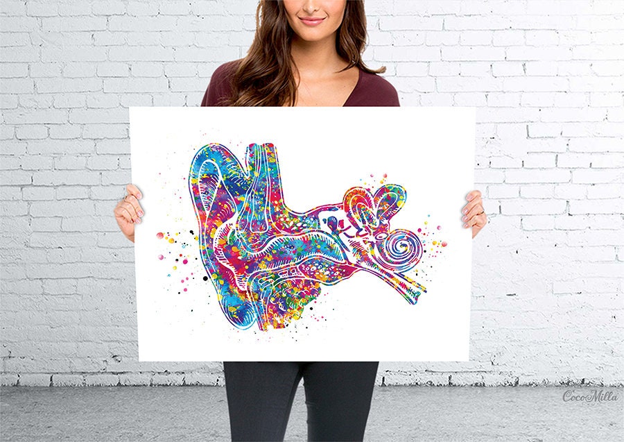 Ear Anatomy Watercolor Print Audiologist Gift Audiology Poster Science ...